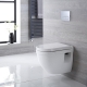 The Toilet Buyer's Guide - BigBathroomShop